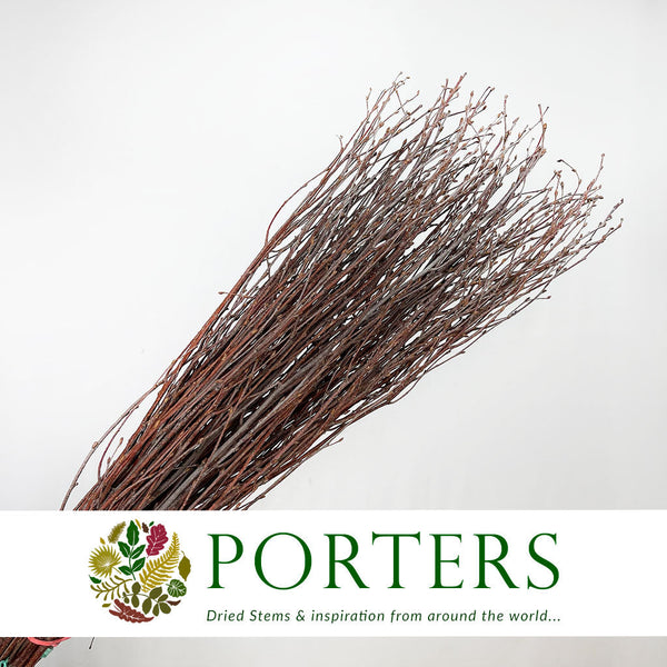 Live Twigs Collection | Eucalyptus, Pussy Willow & More | Porters ...